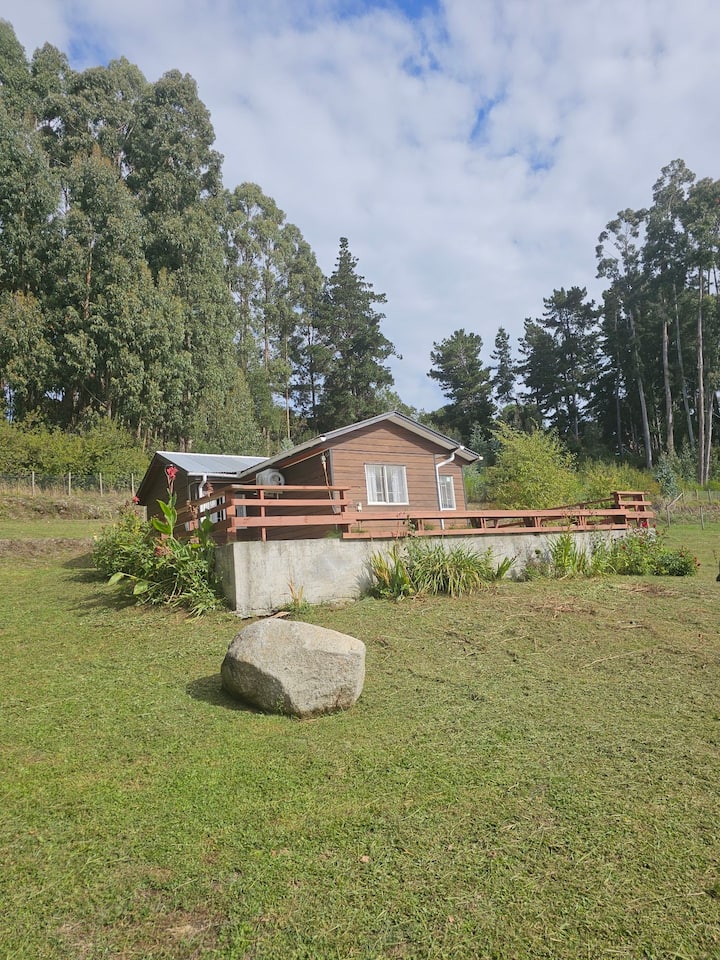 Lago Ranco, Cabaña Orilla De Lago - Lago Ranco