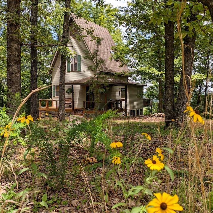 River Views | Float, Fish & Unwind At Muleshoe - Gainesville, MO