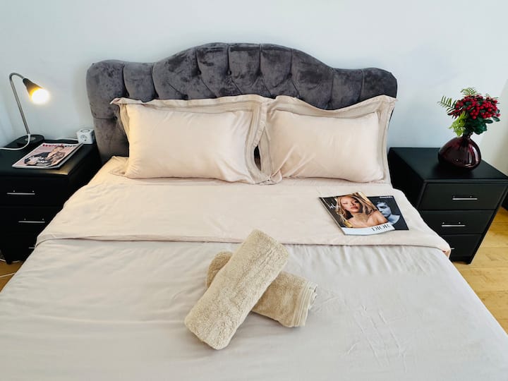 Vienna 1-sweet Aparment 100m To Stephanlazt Church - Wien