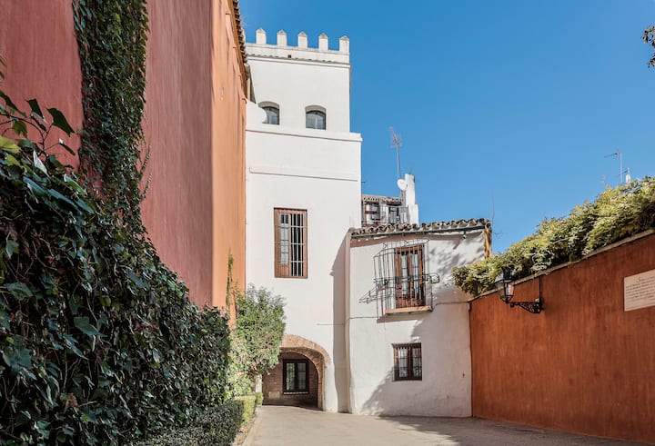 Casa La Judería De Carmona 4 Hab 4 Baños & Terraza - La Rinconada, España