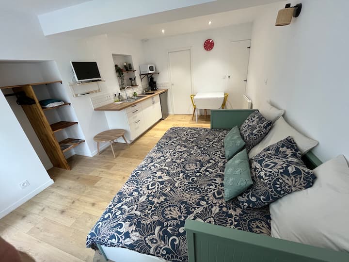 Studio Centre Ville - Laval, France