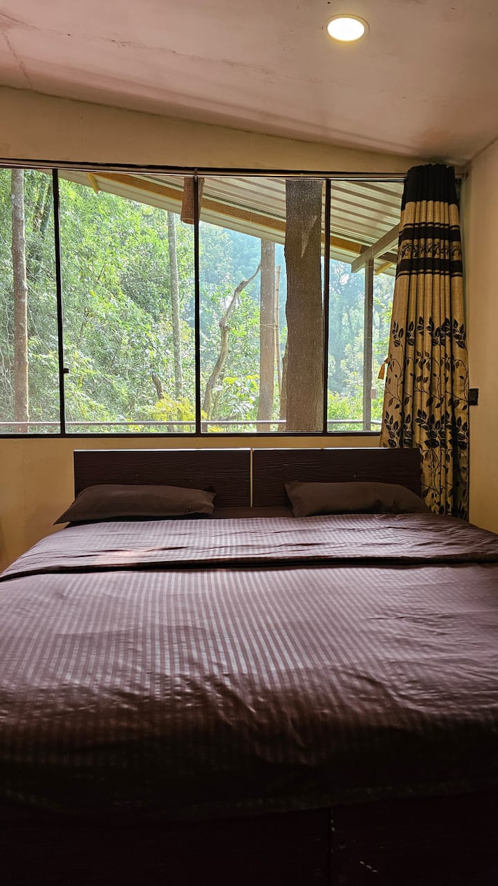 Forest Treehouse Mudumalai Near Bandipur - Gudalur