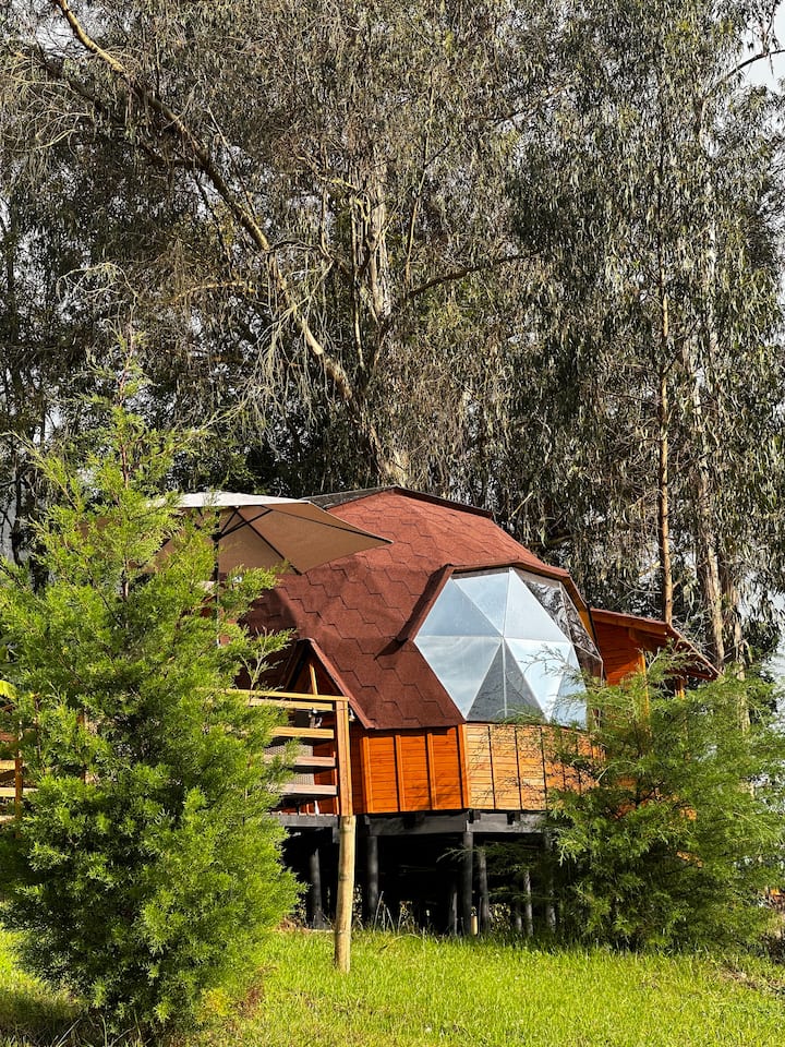 Glamping Shalom - Sinag - Choachí