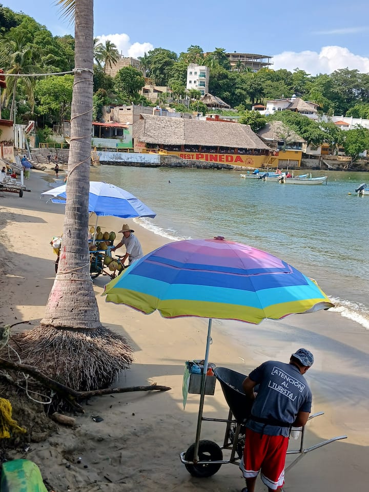 ¡Guayabitos, El Lugar Perfecto! - Los Ayala