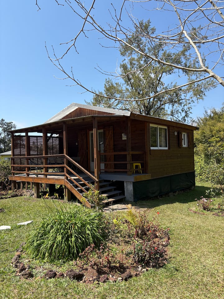 Hortensia - La Réunion