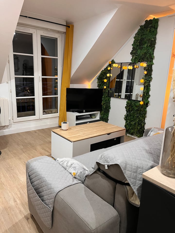 Appart Proche Disney Paris Rer A - Saint-Thibault-des-Vignes
