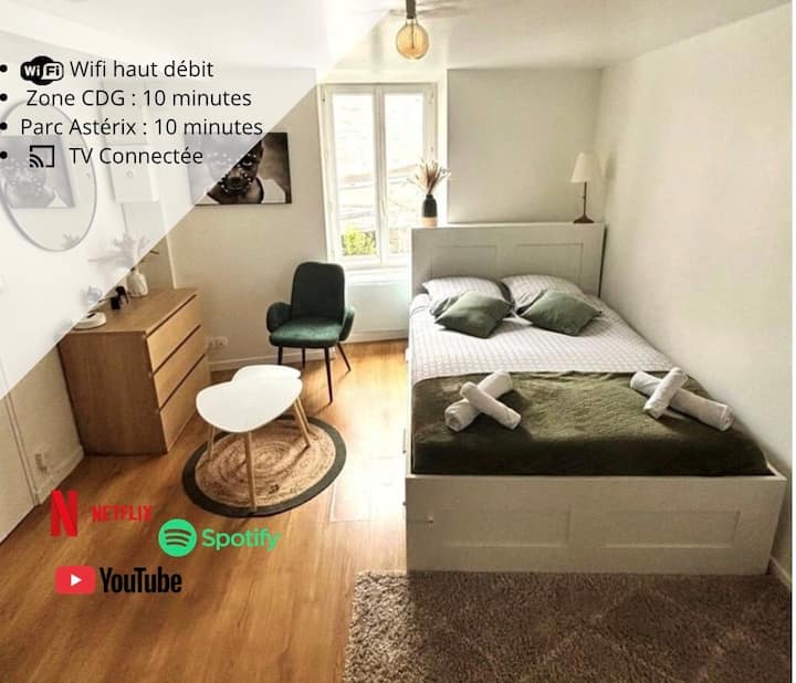 Studio "Le Nid Douillet" - Cdg & Astérix - Saint-Witz