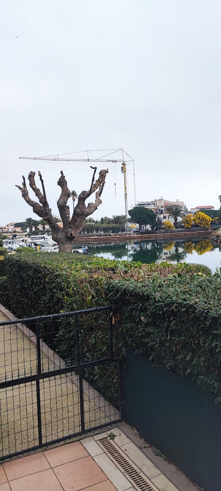 Agréable Appartement - Saint-Cyprien