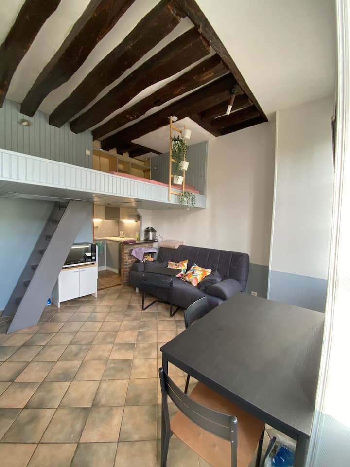 Studio Au Cœur De Versailles - Versailles