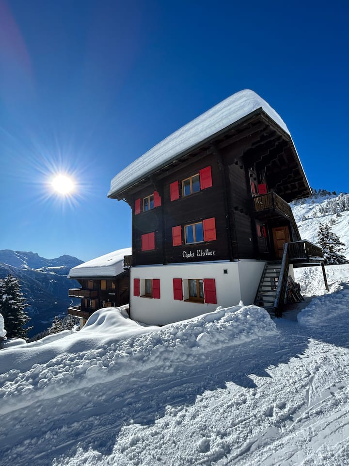 3,5 Zimmerwohnung Chalet Walker - Riederalp