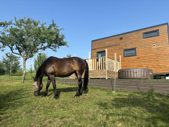 La Tiny Du Rougy - Lorena