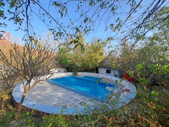 Ac Eco Pool Hut I Live Tribal, Sleep Royal-resort - Gujarat