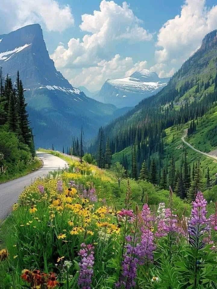 Montana Mountain Getaway - Montana