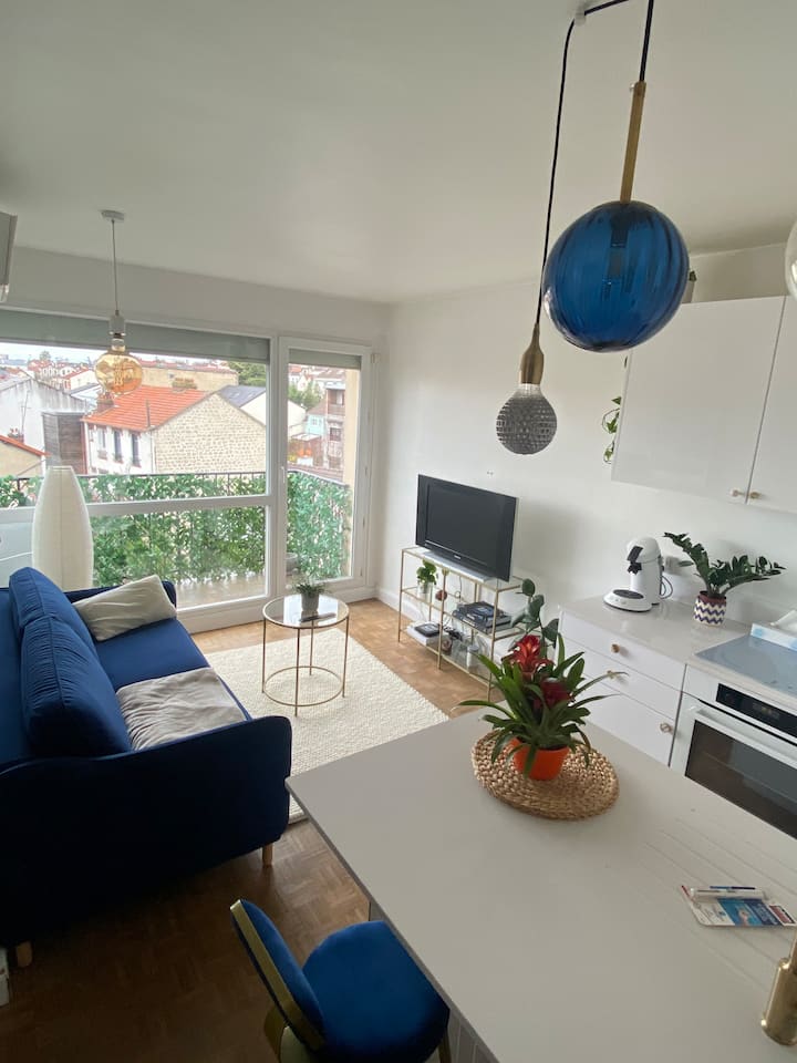 Joli Cocon De 2 Pieces Cosy Avec Balcon ! - Suresnes