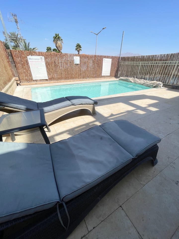 Eucalyptus 4 - エイラト