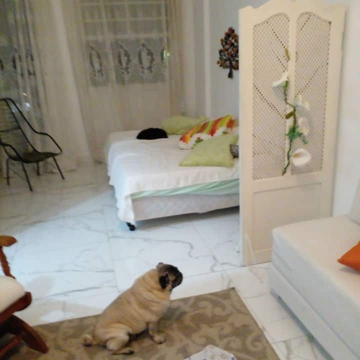 Loft Perfeito Para Explorar Serra Negra! - Serra Negra