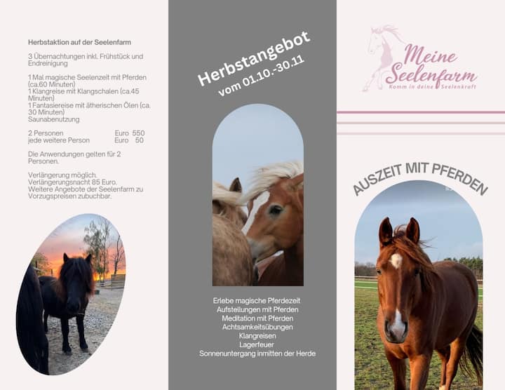 Retreat Mit Pferden - Nienburg/Weser