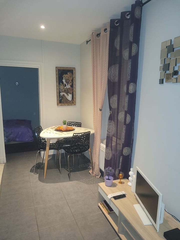 Charmant Appart Moderne Roanne - Roanne