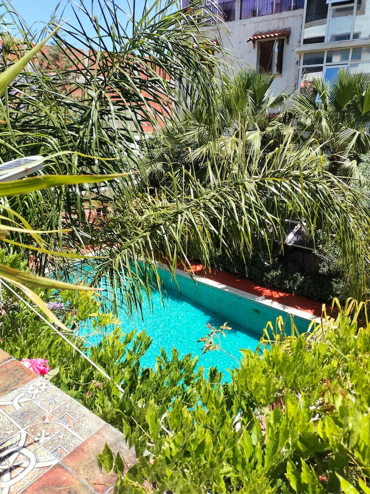 Le Bohémien - Béjaïa