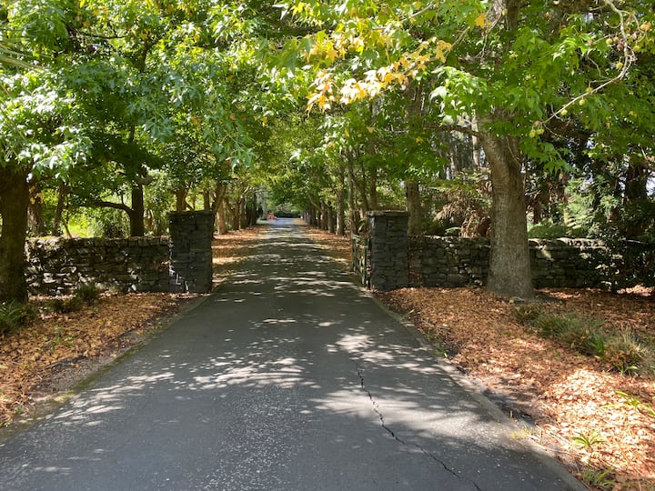 Willows Reach Lodge - Riverhead