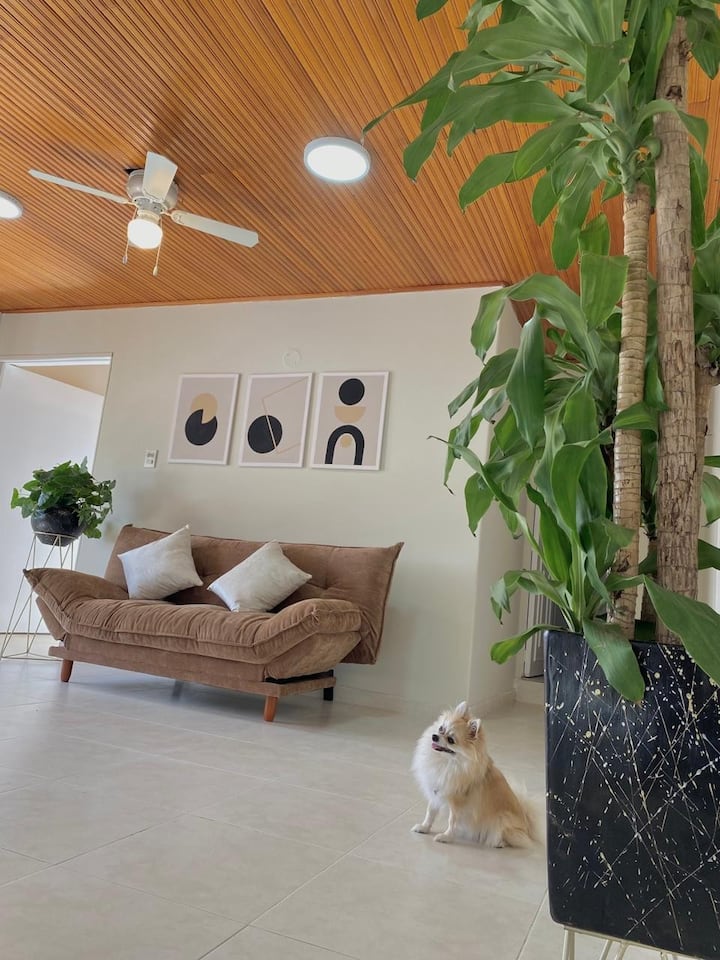 Top Location, 3 Bedrooms Apartment, Pool Access - Valledupar