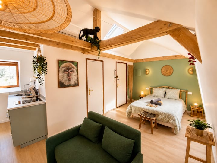 Suite Bali Design - Hyper Centre + Clim - Brive-la-Gaillarde