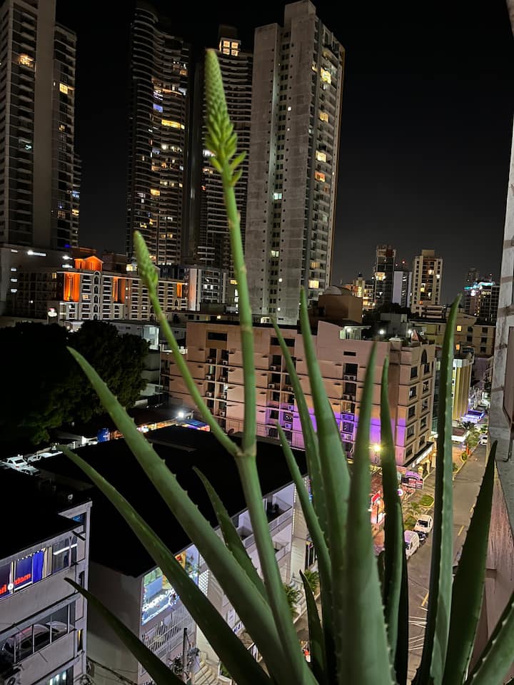 Apartamento Entero Privado  4 Habitaciones - Ciudad de Panamá