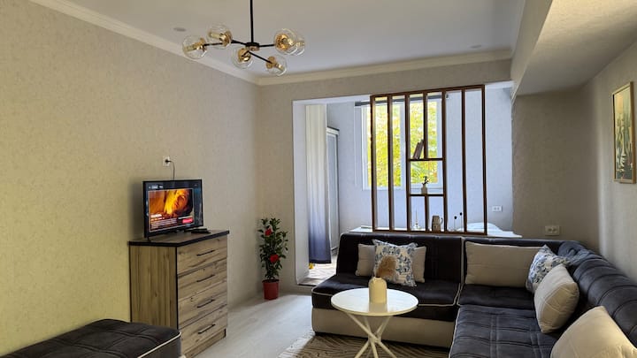 City Center Flat Near Amir Timur Square - Ц 4 - Tashkent