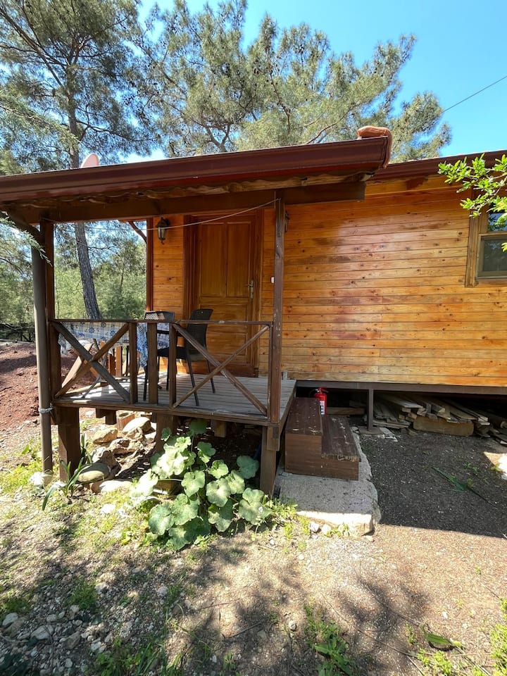 Olimpos Ispinoz Bungalow - Adrasan