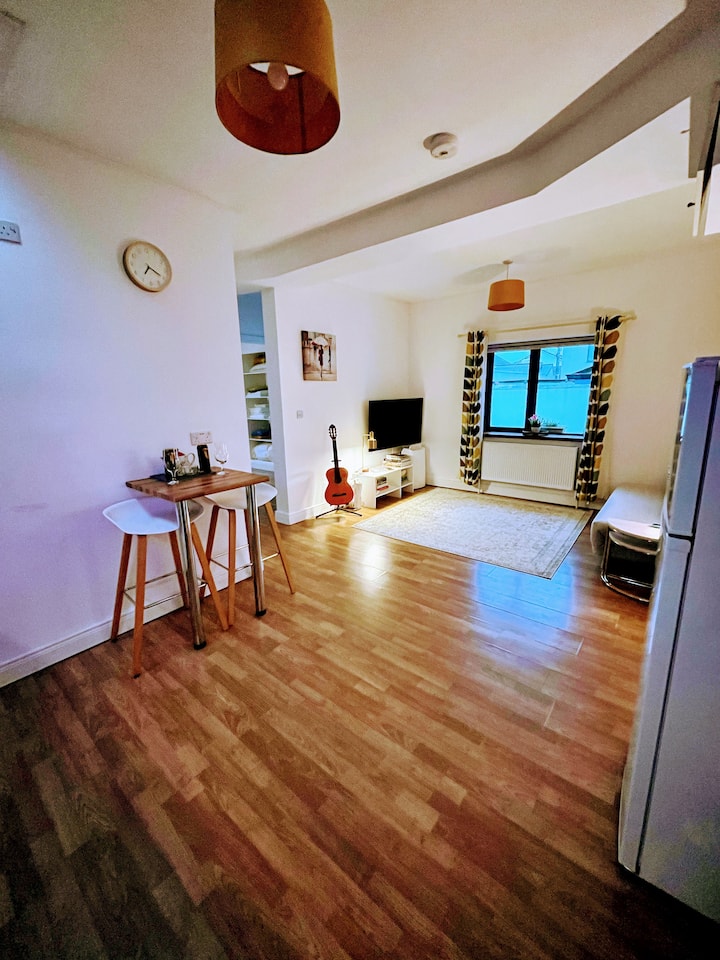 Apartment 5 Mins Walk From Salthill Prom - Galway