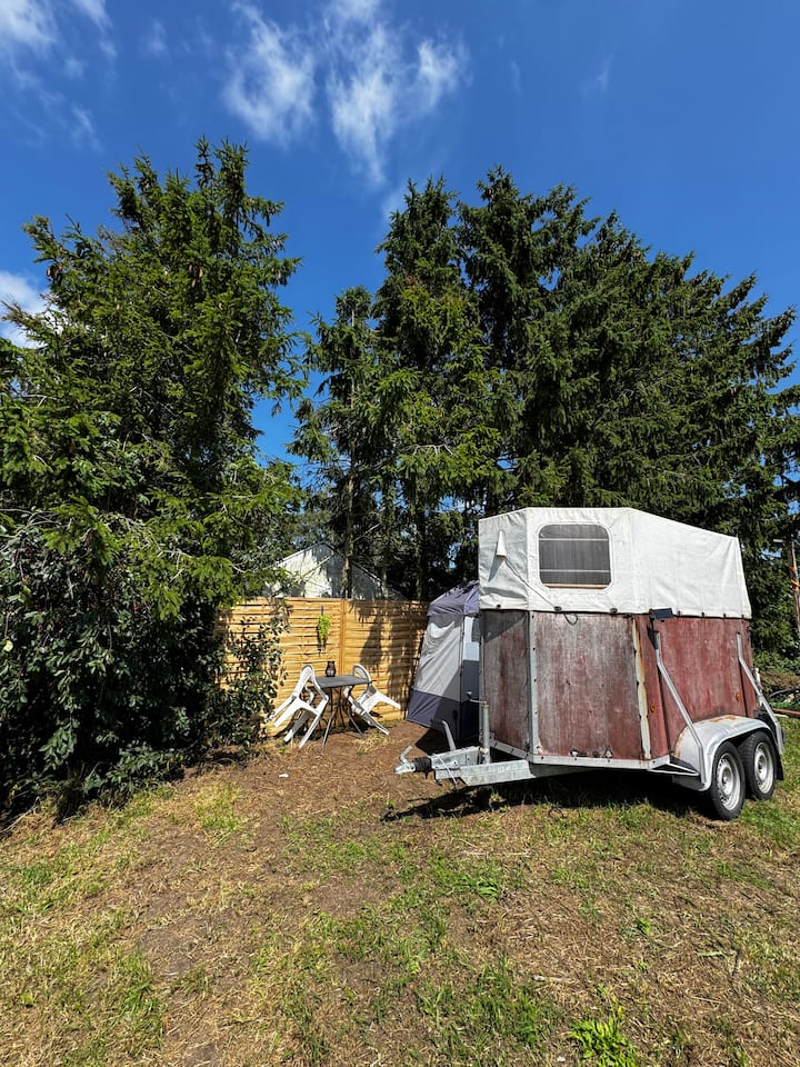 Schlafen Im Pferdewagen In Mitten Der Insel Rügen - Rügen