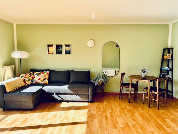 Studio In Trendy Area - Dresden