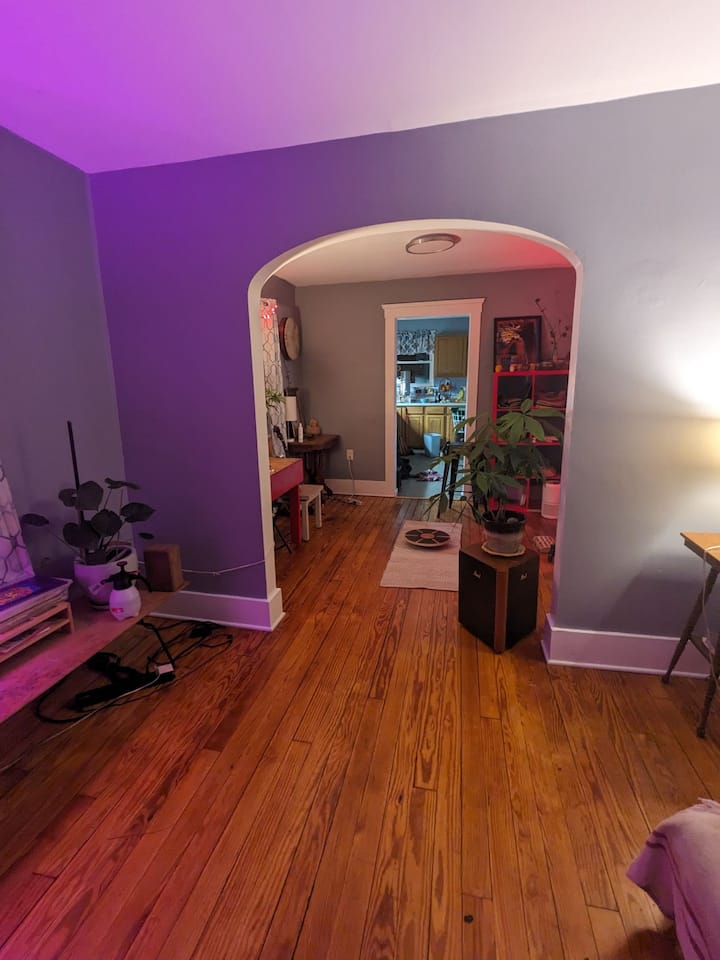 Cozy Dearborn Artist Cottage - Detroit Metro Wayne County Airport (DTW)