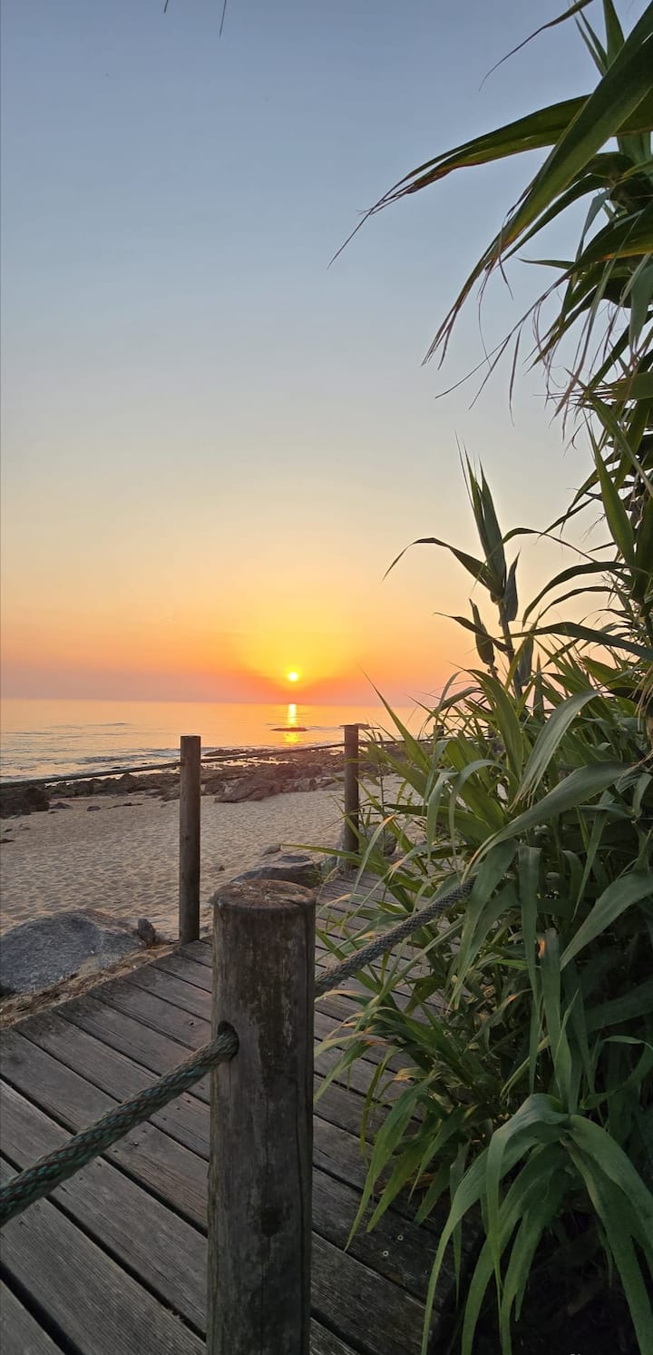 Perto Da Praia E Do Porto. - Madalena