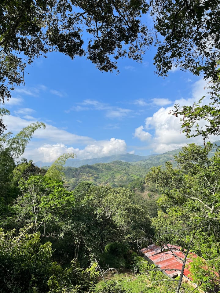 Andalucía - Villeta