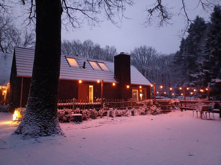 The Squirrel - Apeldoorn