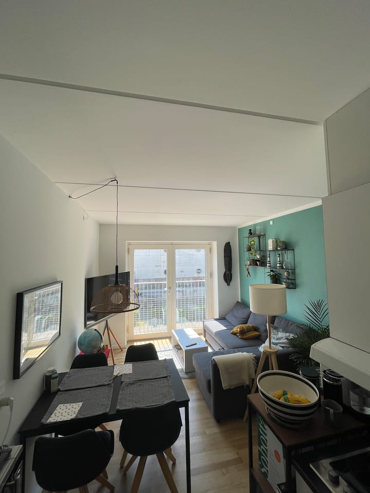 Hyggelig Nybygget Lejlighed Til 3-4 Personer - Copenhague