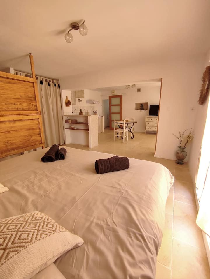 Studio Alpilles Avec Jacuzzi Privatif - Tarascon