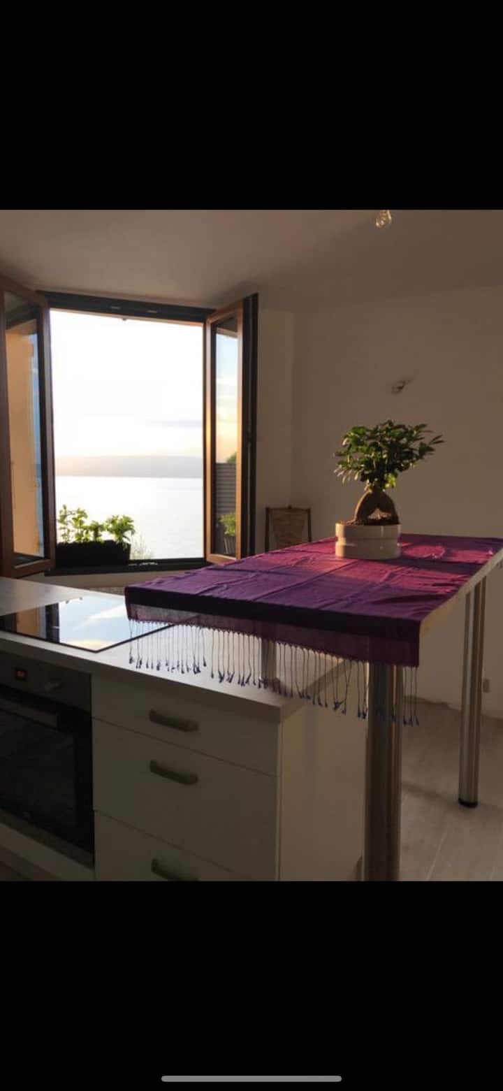 Beautiful Apartment With View - Morges