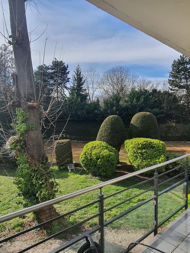 Paris Sur Une Ile - Bougival