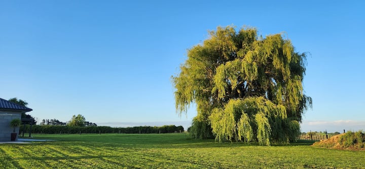 Te Kowhai - Ngāruawāhia