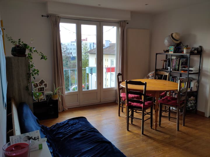 Appartement Cosy Et Lumineux - Strasbourg