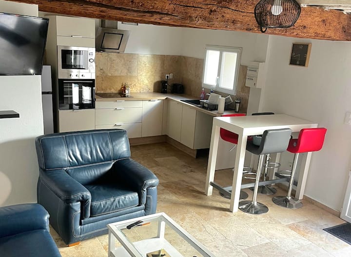 Maison De Village Avec Cour - Camargue