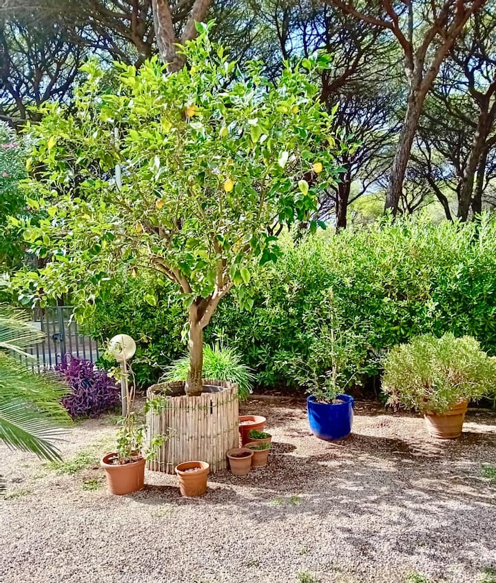 Villetta Al Mare Con Giardino - Marina di Grosseto