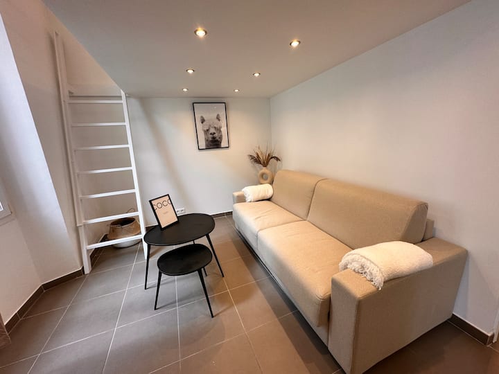 Superbe Studio 500m Du Palais - Cannes