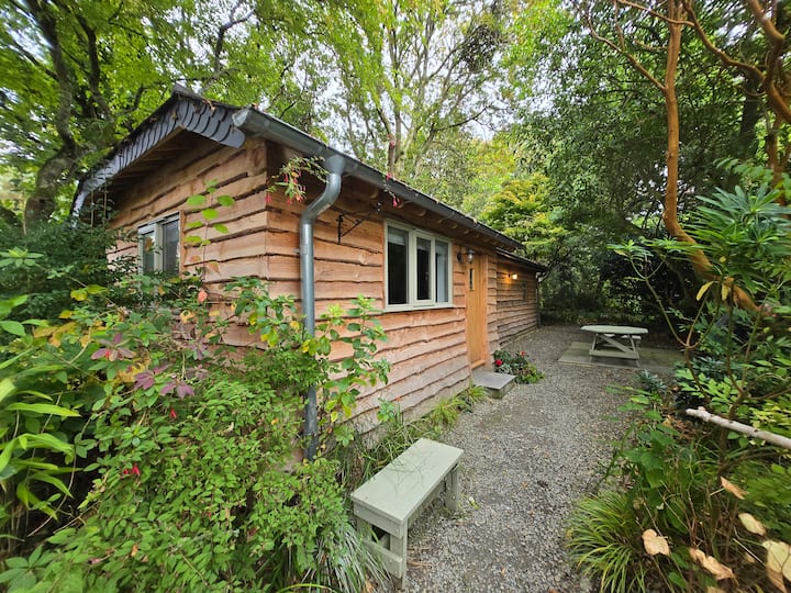 Deluxe Large One-bedroom Chalet - St Austell