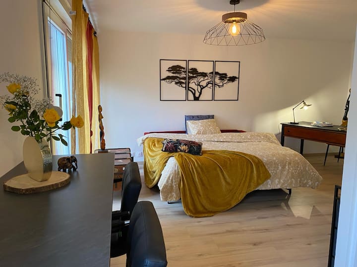 Annemasse  Studio Proche Genève - Ginevra