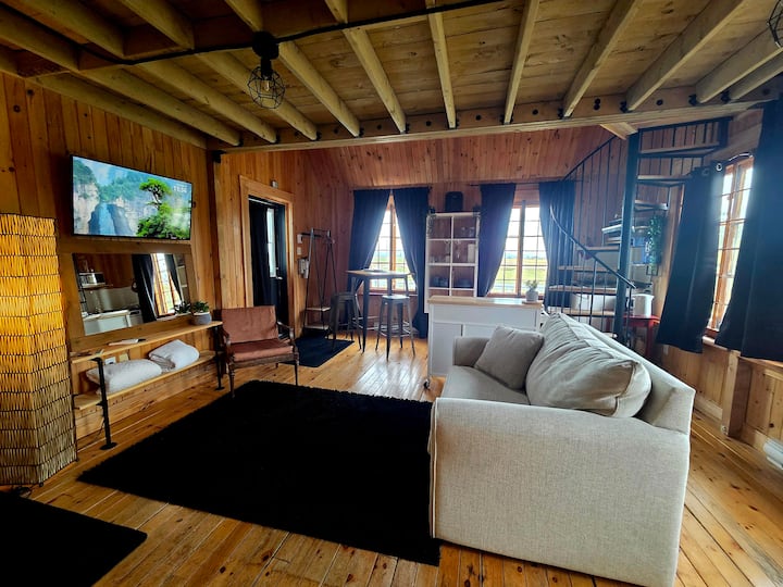 Appartement 1 Chambre Avec Mezaline - Charlevoix Regional County Municipality