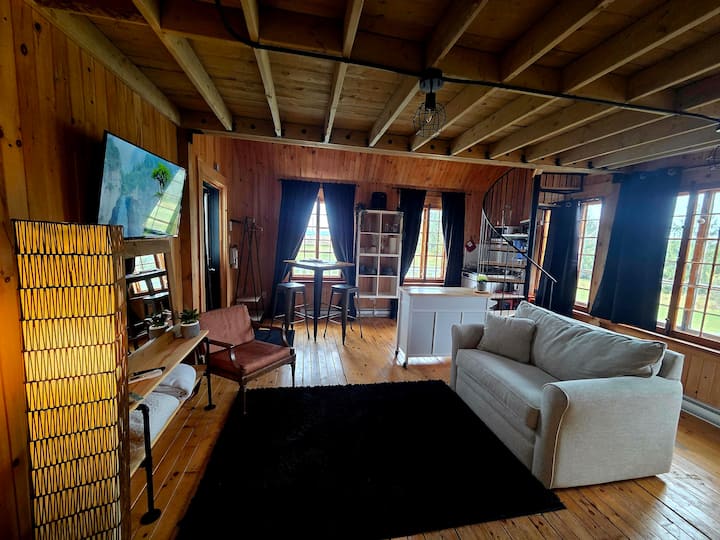 Appartement 1 Chambre Avec Mezzanine - Charlevoix Regional County Municipality