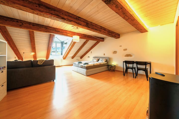 Refuge Dans La Vieille Ville ; Près Du Lac Et Gare - Bienne